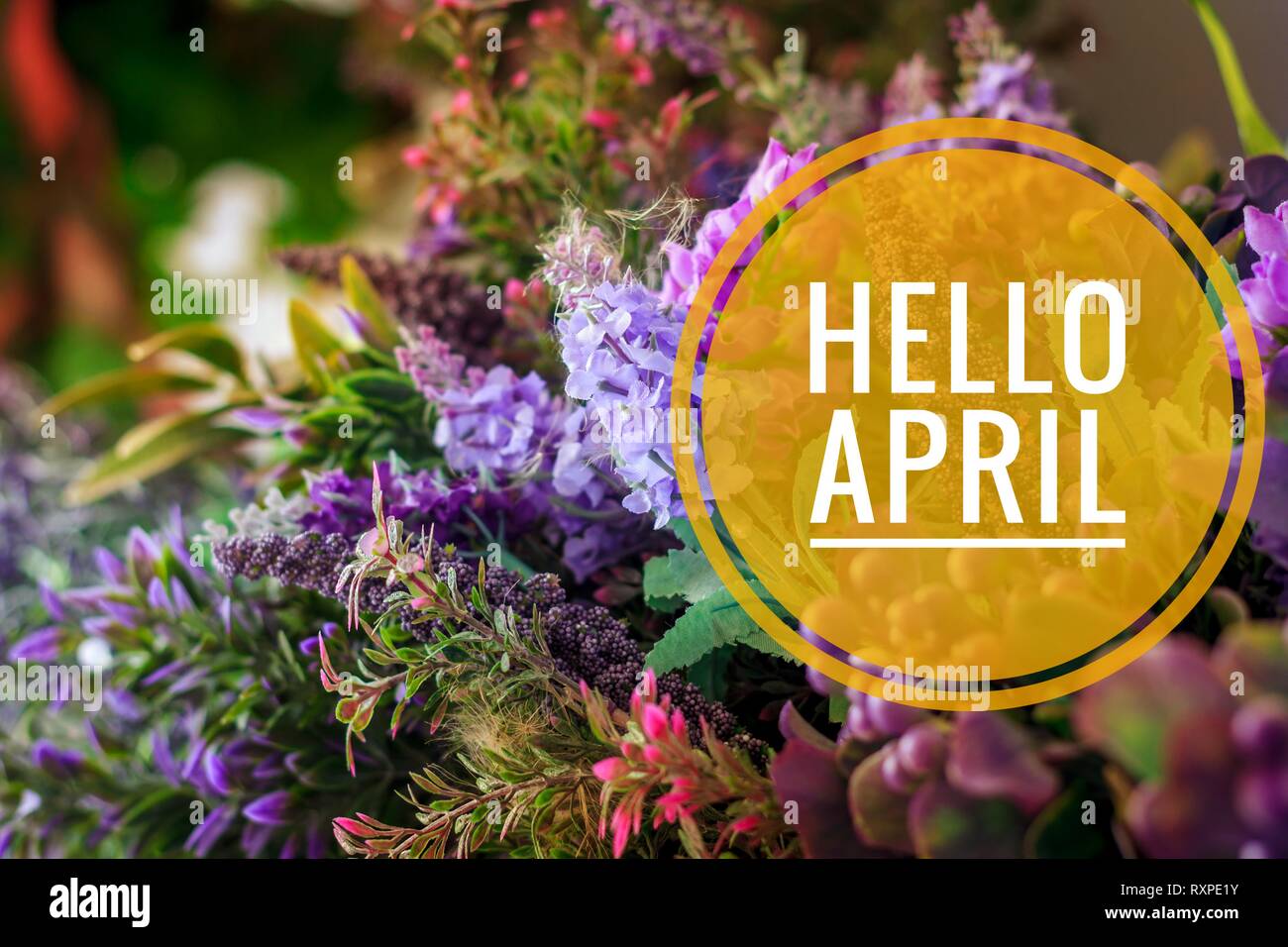 Banner hello april. Hi spring. Hello April. Welcome card We are waiting ...
