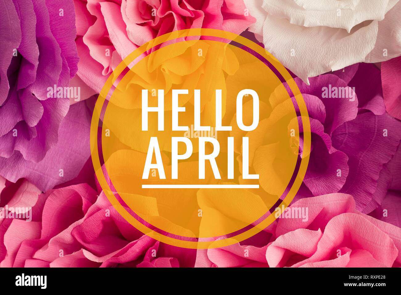Banner hello april. Hi spring. Hello April. Welcome card We are waiting ...