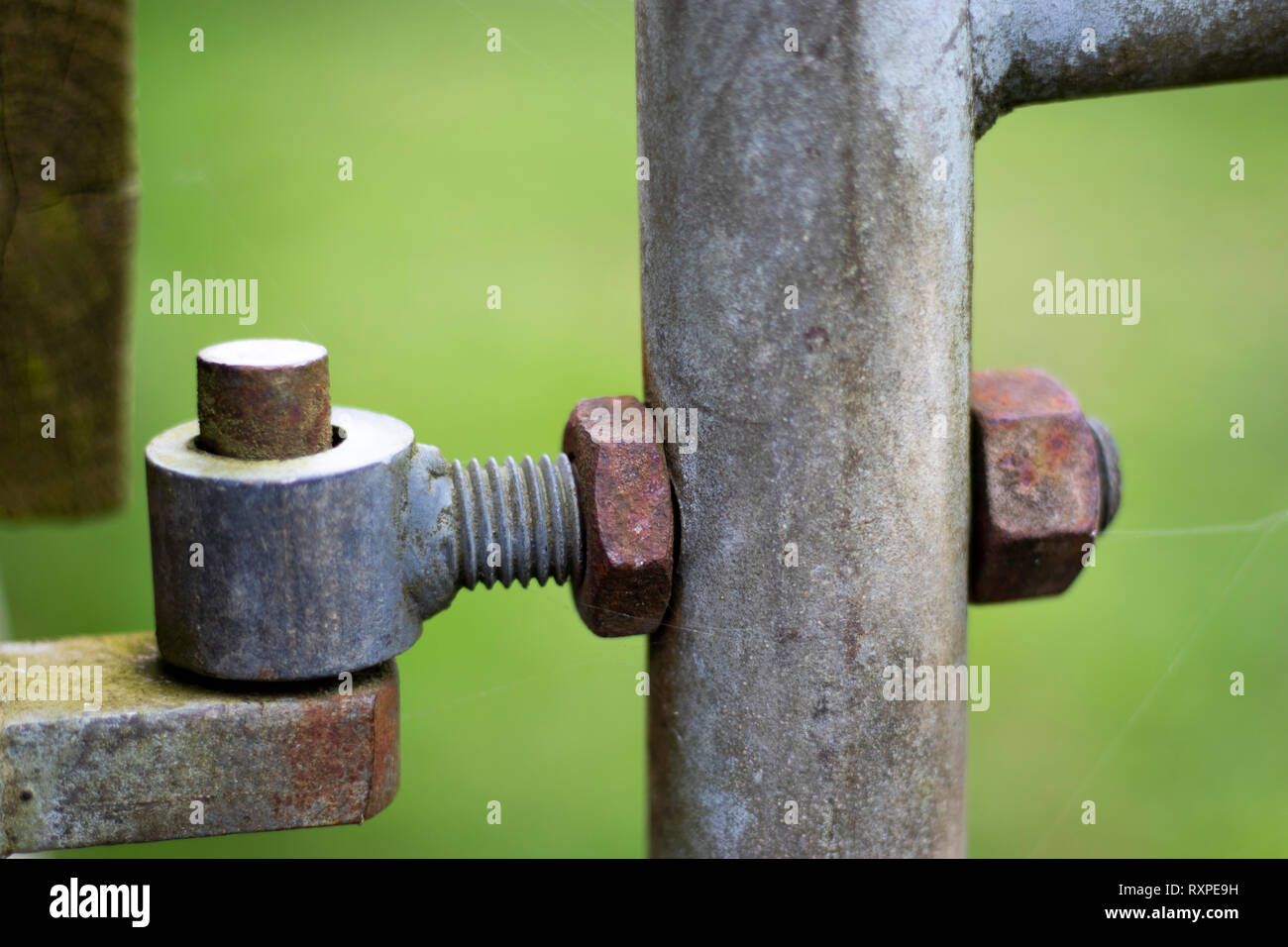 Rusty pivot hinge on farm gate providing access to farmland field in ...
