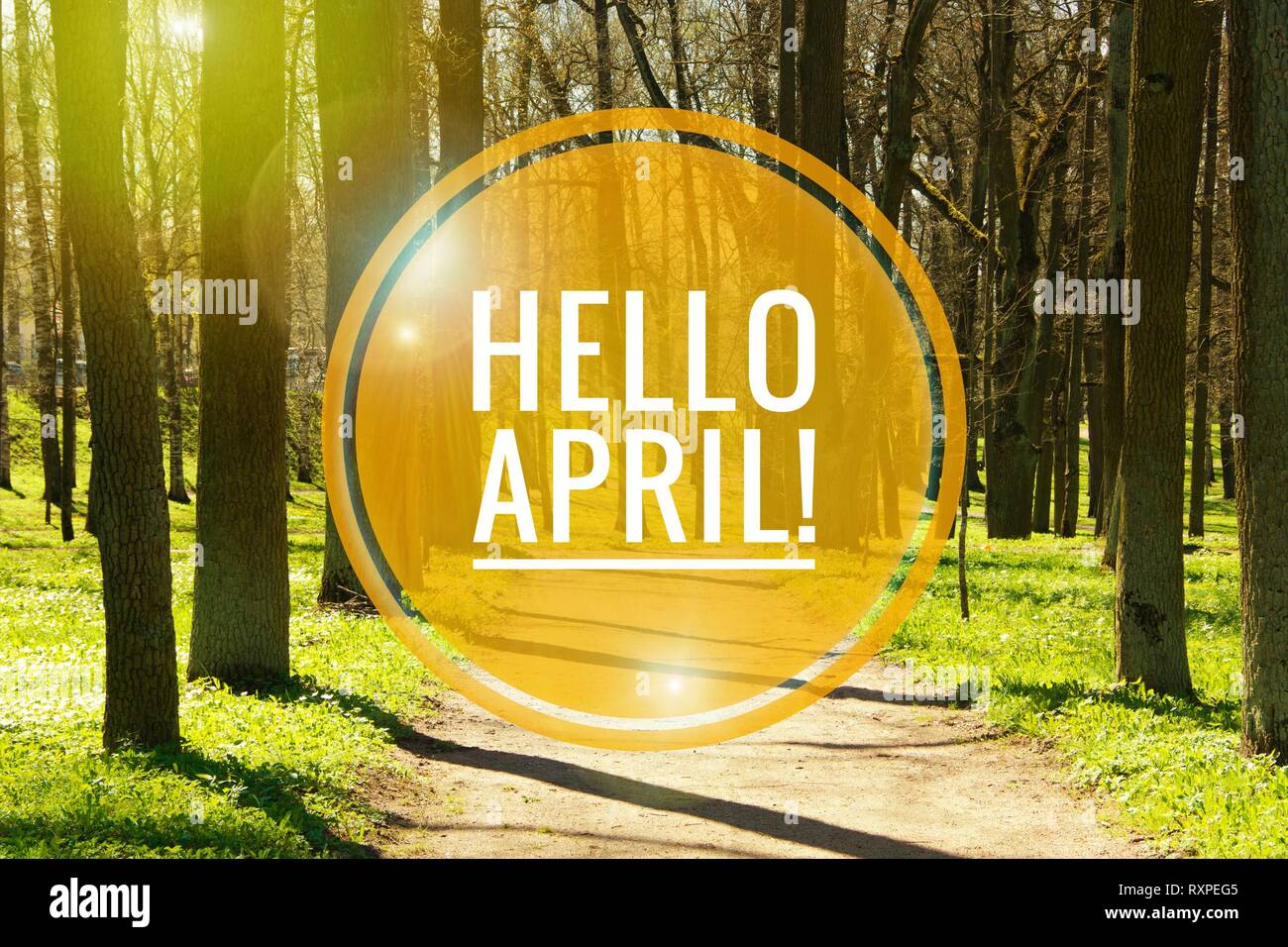 Banner hello april. Hi spring. Hello April. Welcome card We are waiting ...