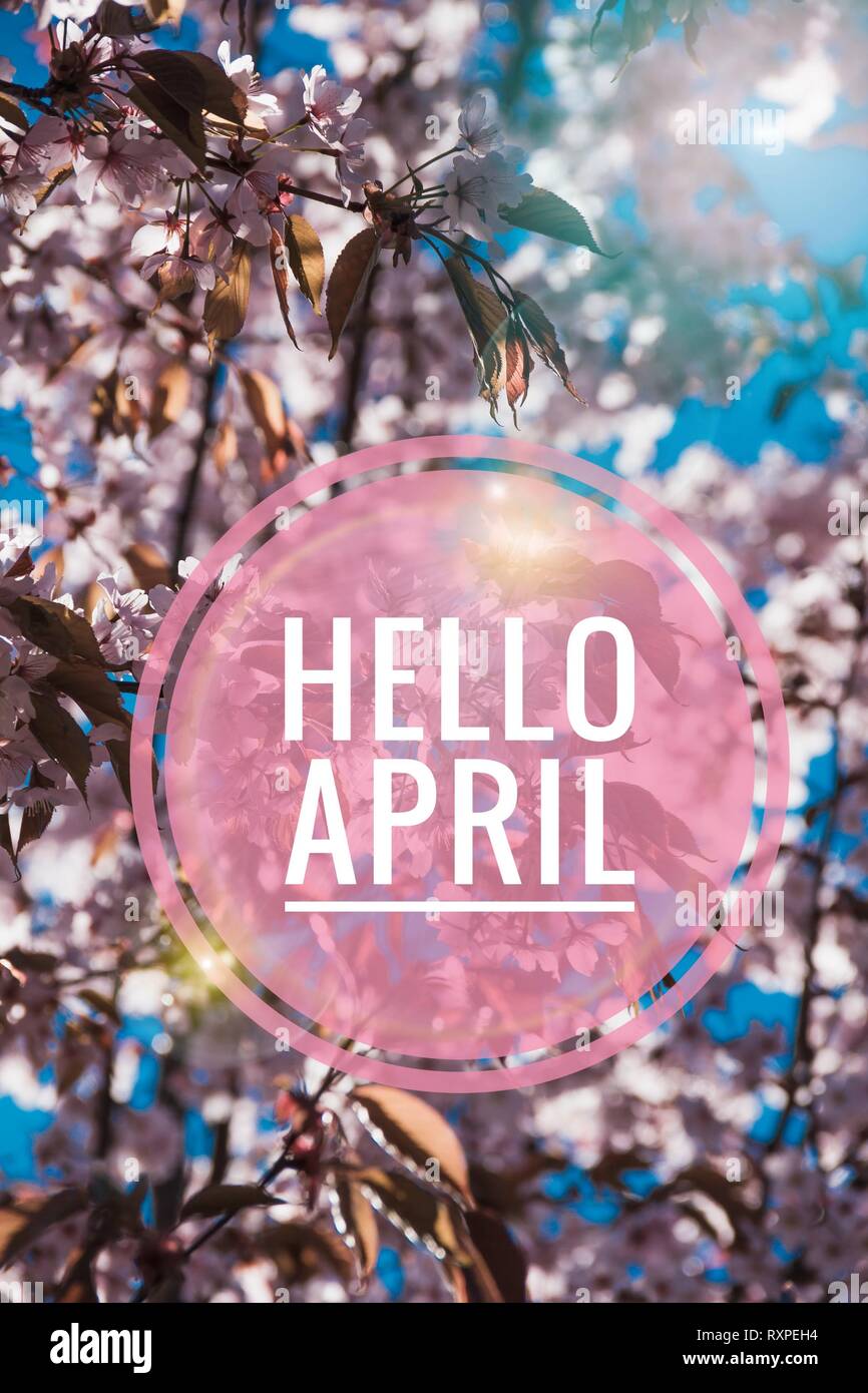 Banner hello april. Hi spring. Hello April. Welcome card We are waiting ...