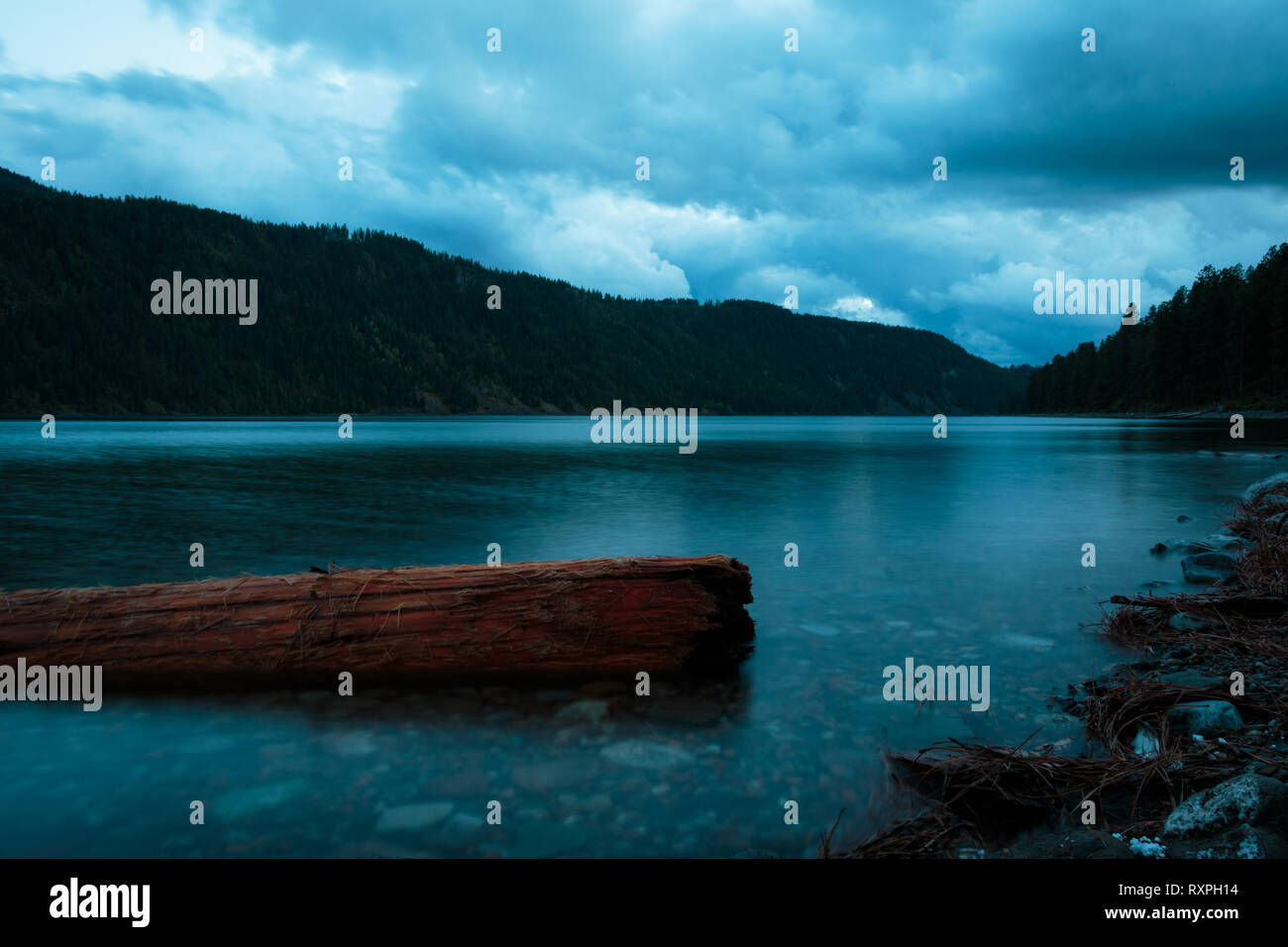 Log in a lake at evening Stock Photo - Alamy