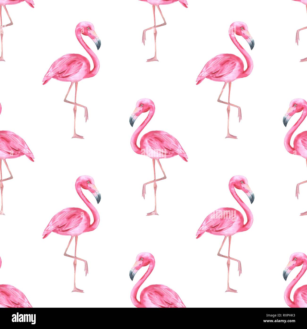 Pink Flamingo Illustration High Resolution Stock Photography and Images ...