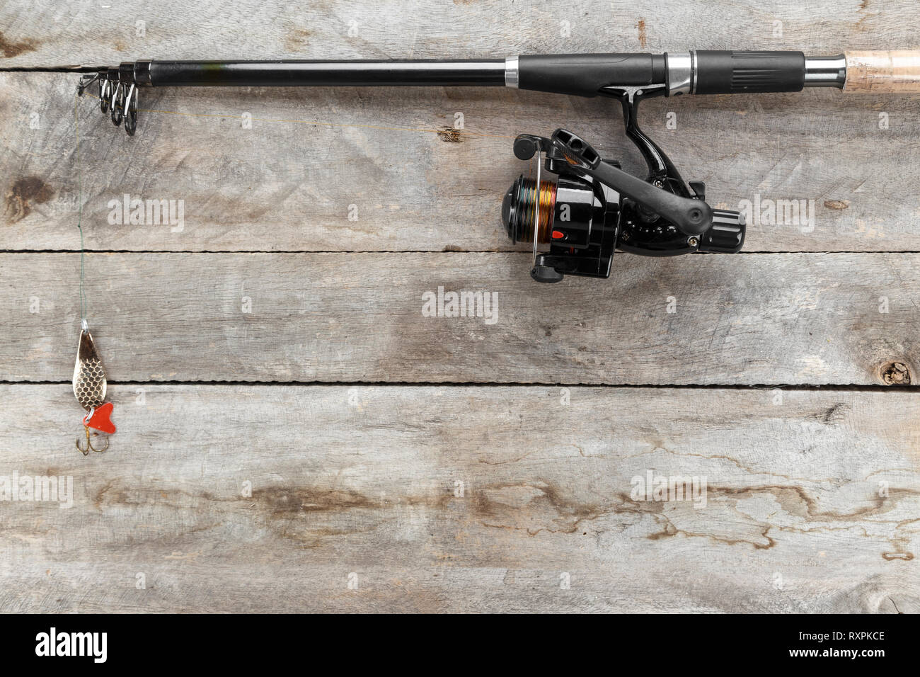 Top view minnow freshwater fish hi-res stock photography and images - Alamy