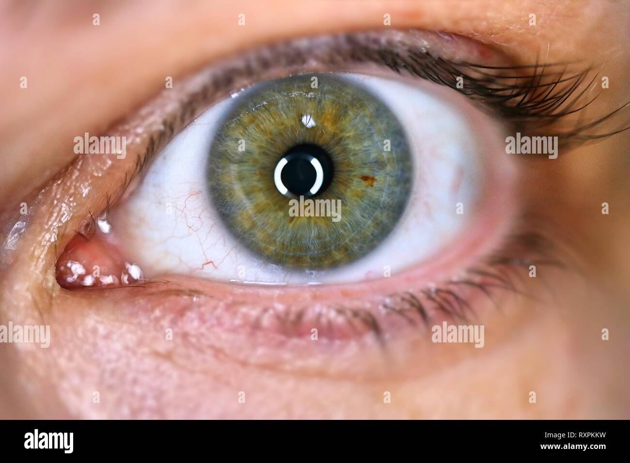 Human eyes and skin Stock Photo - Alamy