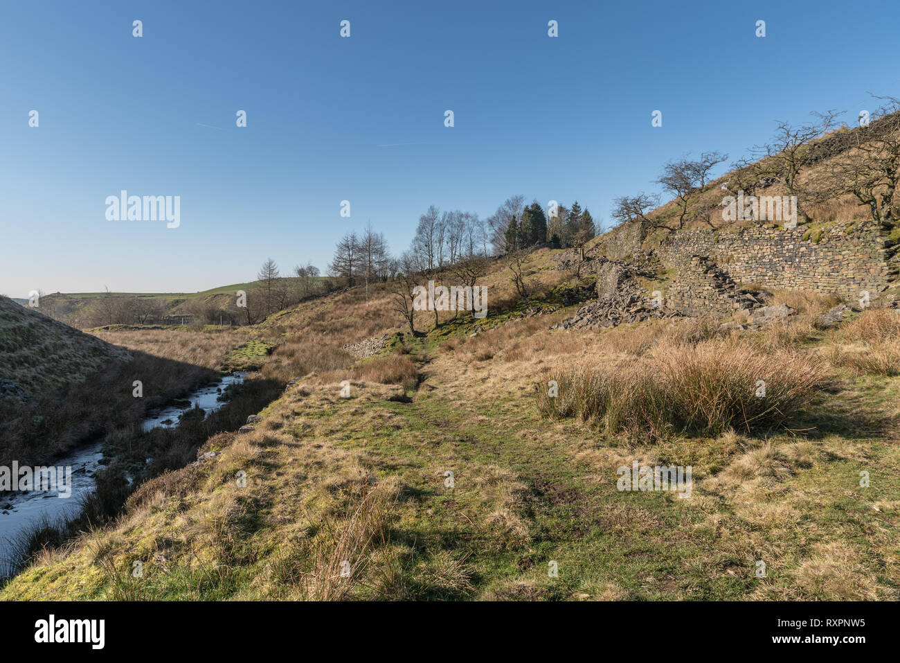 A view of Cheesden brook and valley from Cheesden Lum Mill, near ...