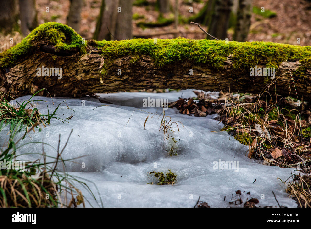 Stream iced over hi-res stock photography and images - Alamy