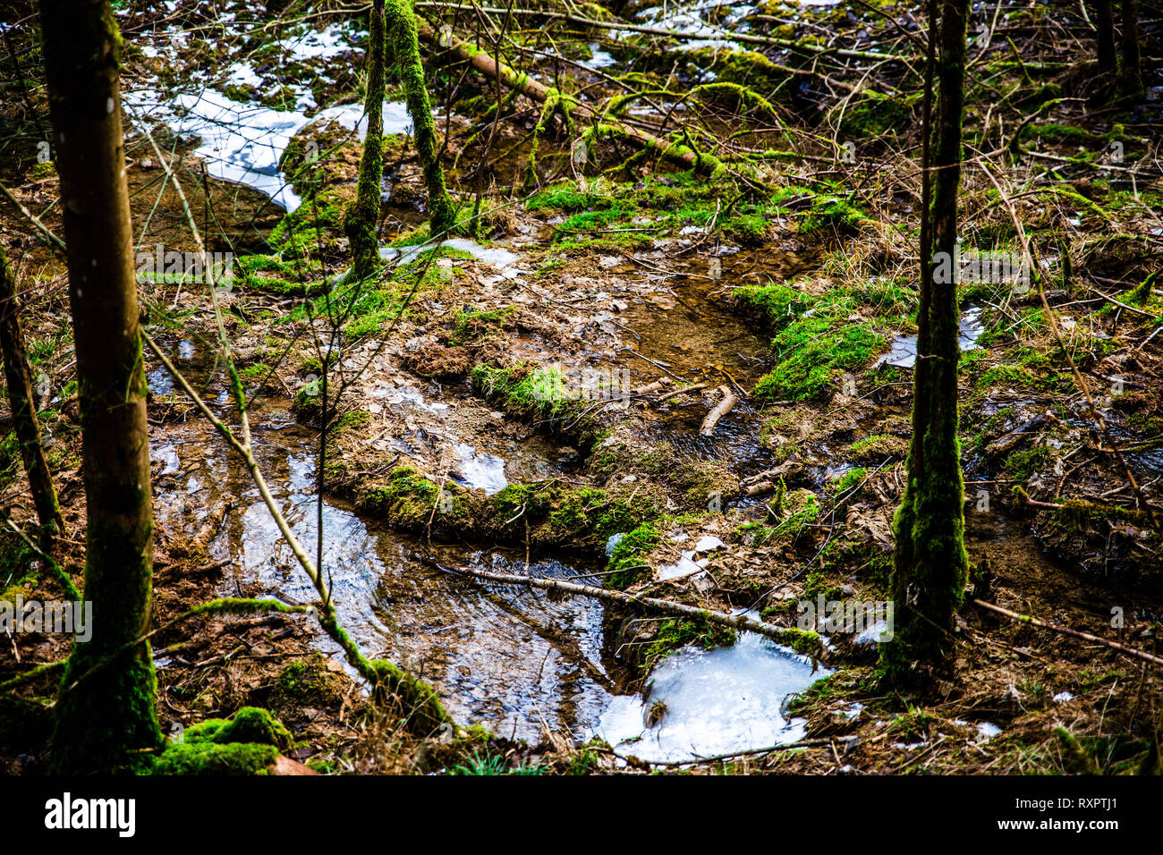 Sinter plant hi-res stock photography and images - Alamy