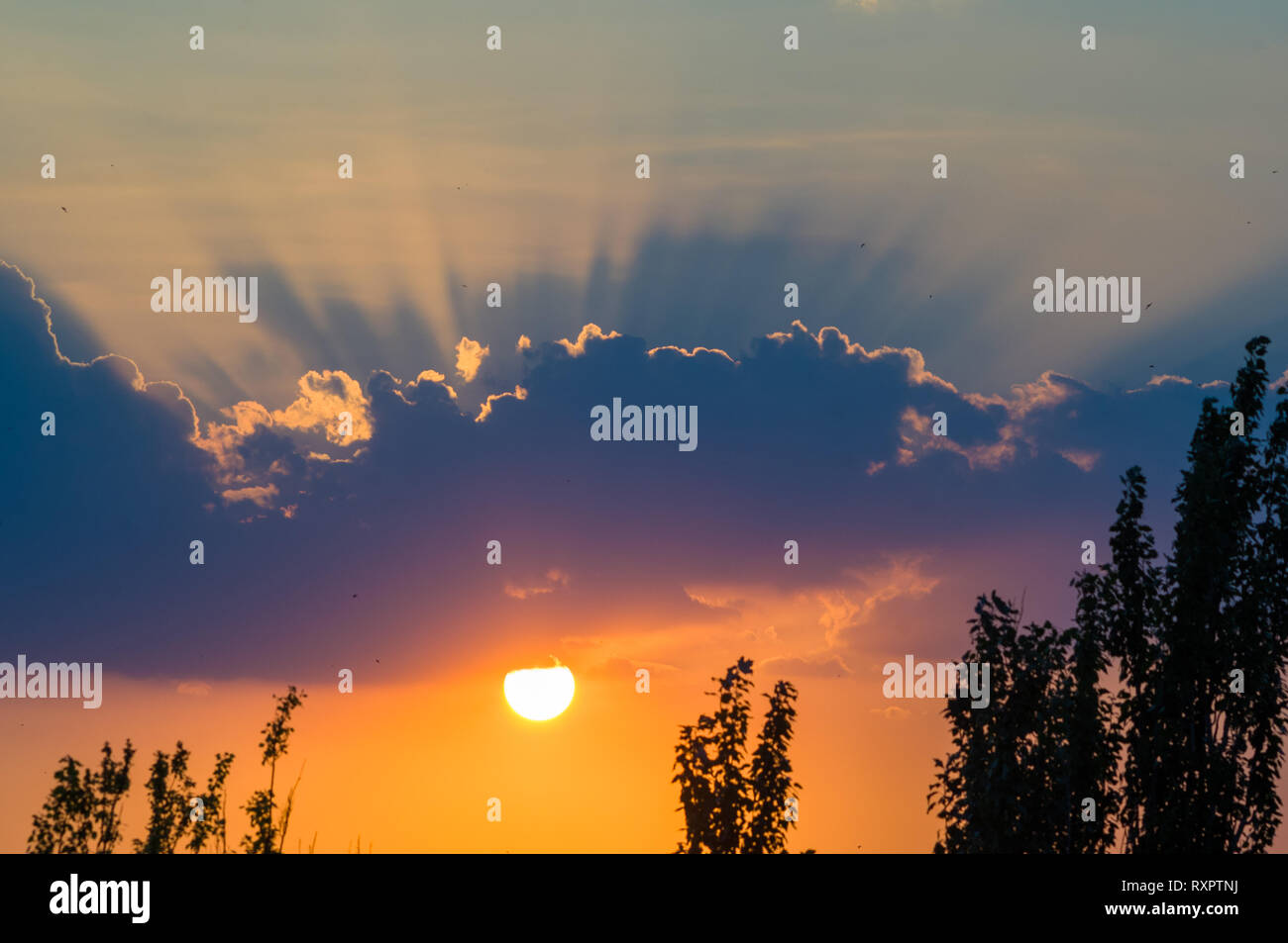 Landscape with dramatic light - beautiful golden sunset with saturated ...