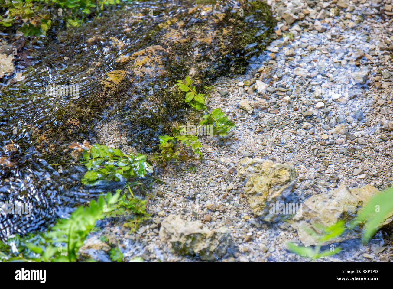 small creek water reflection Stock Photo - Alamy