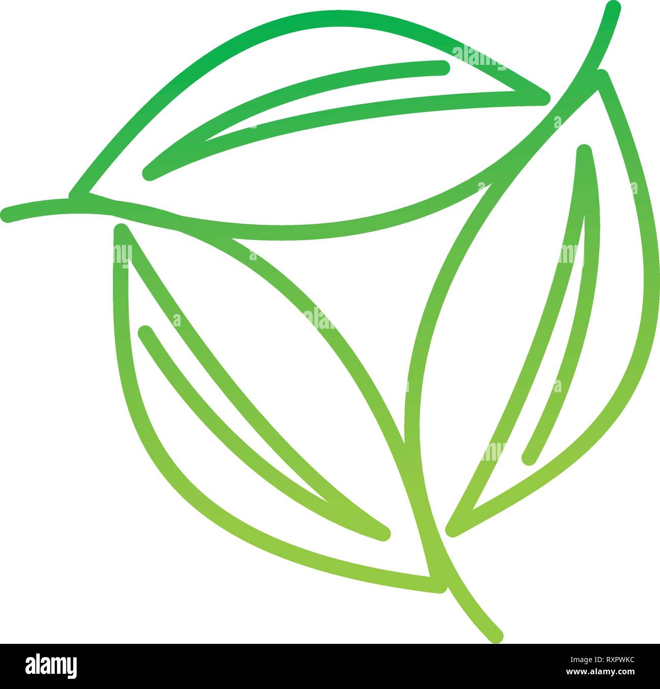 Leaf Logo Design Vector Template Set Stock Vector Image & Art - Alamy