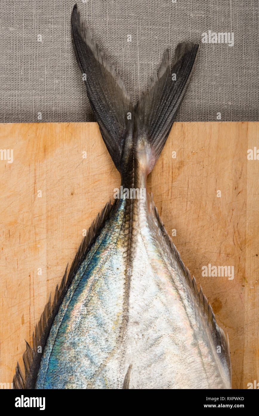 Still life fish hi-res stock photography and images - Alamy
