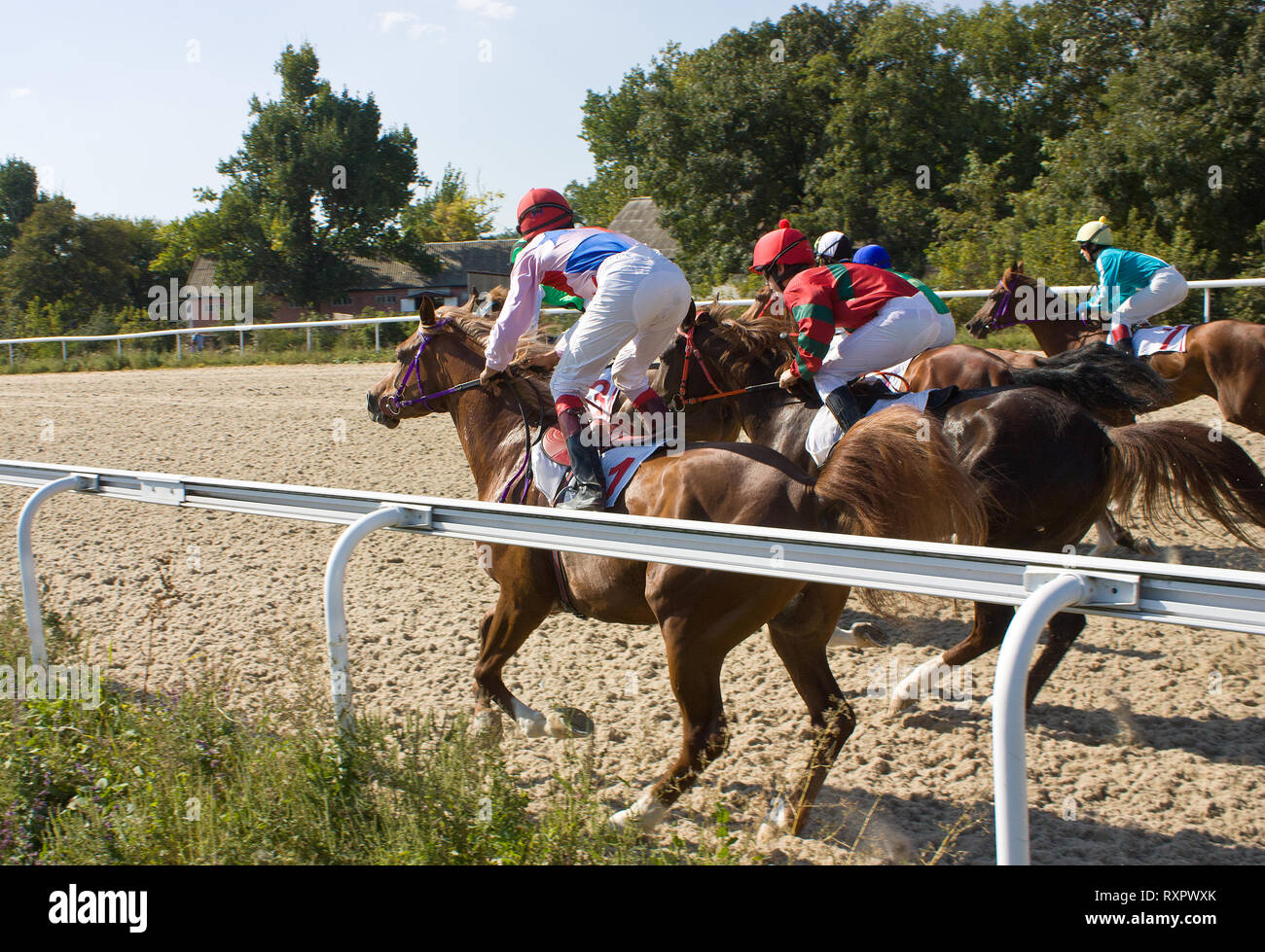 Start horse race Stock Photo - Alamy