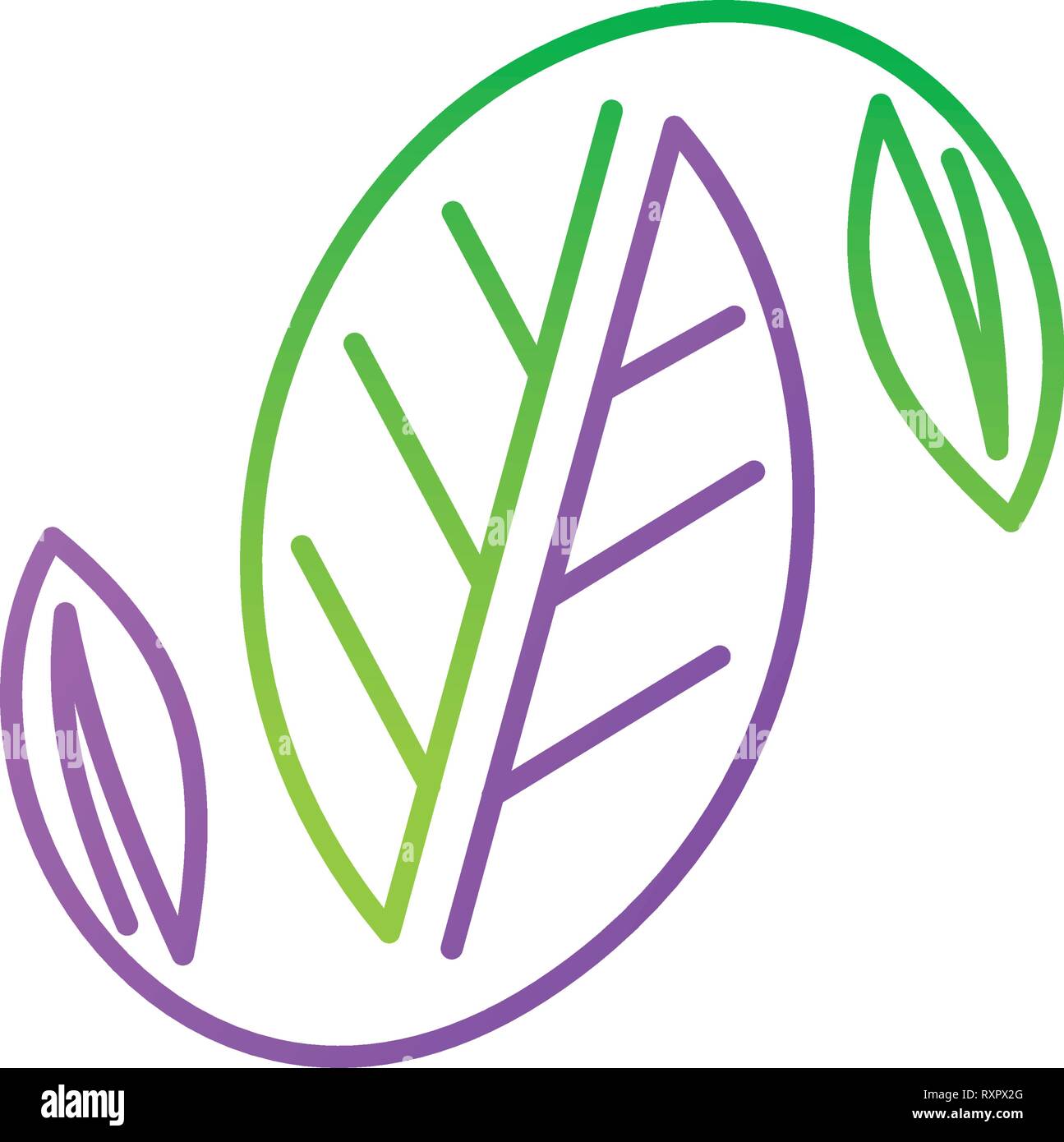 Leaf Logo Design Vector Template Set Stock Vector Image & Art - Alamy