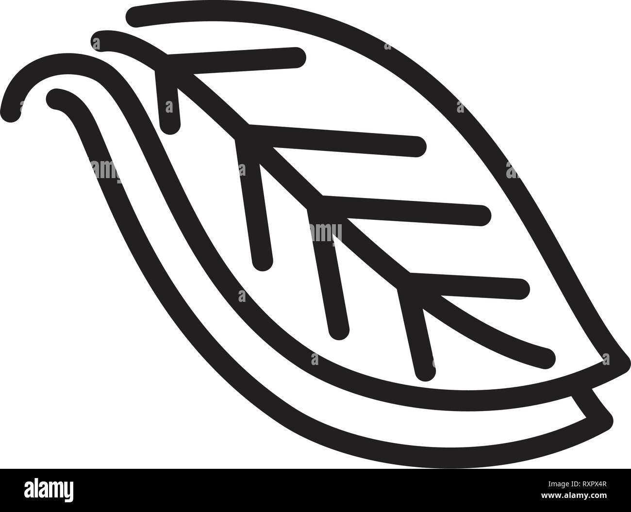 Leaf Logo Design Vector Template Set Stock Vector Image & Art - Alamy