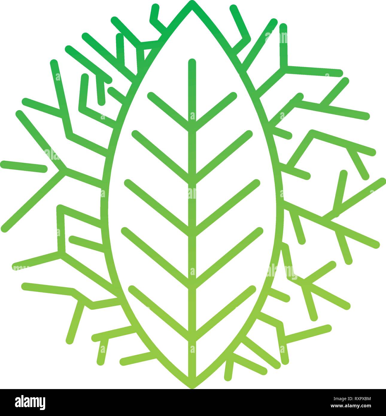 Leaf Logo Design Vector Template Set Stock Vector Image & Art - Alamy