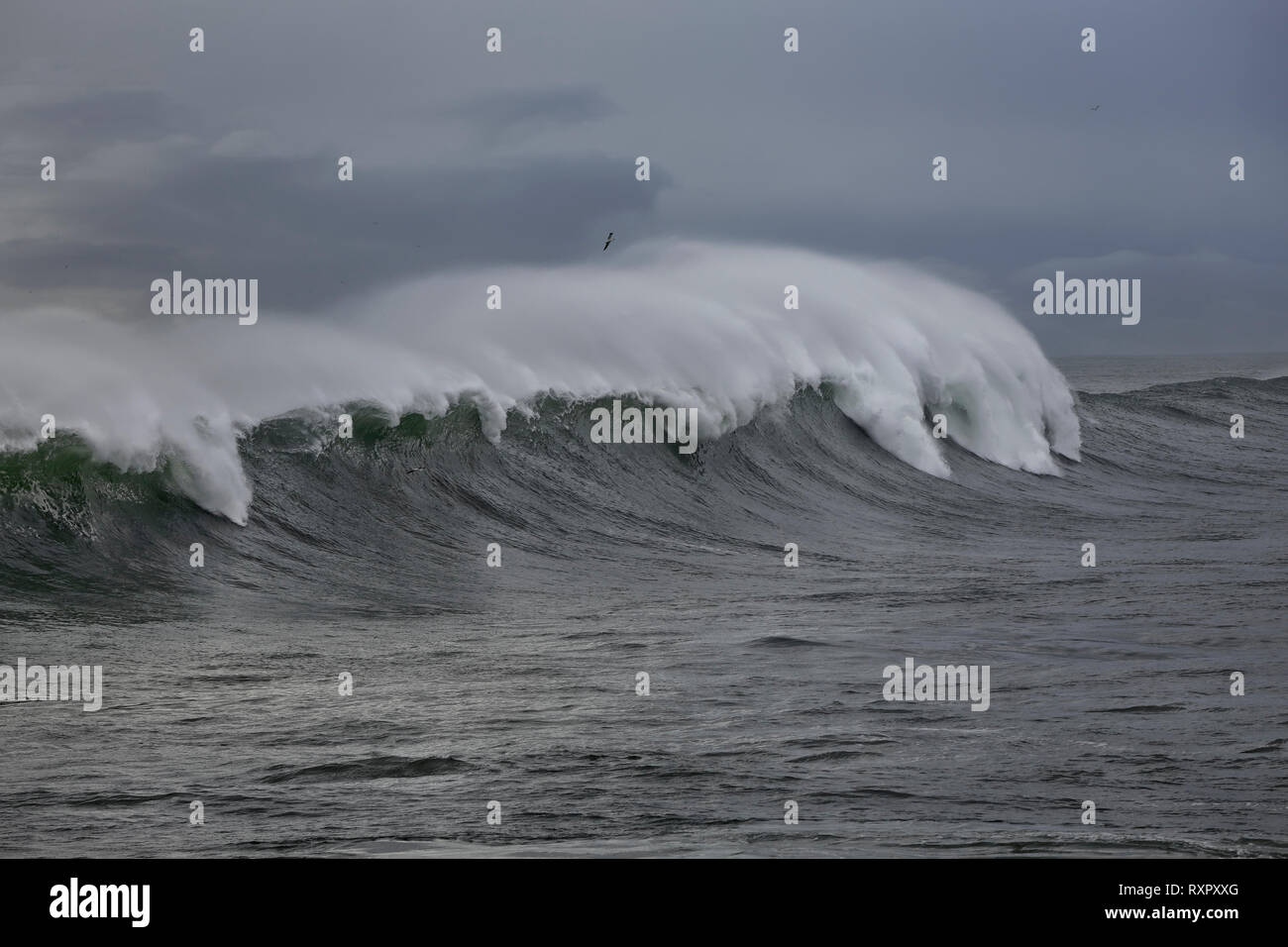 Moody seascape. Long wave with spray Stock Photo - Alamy