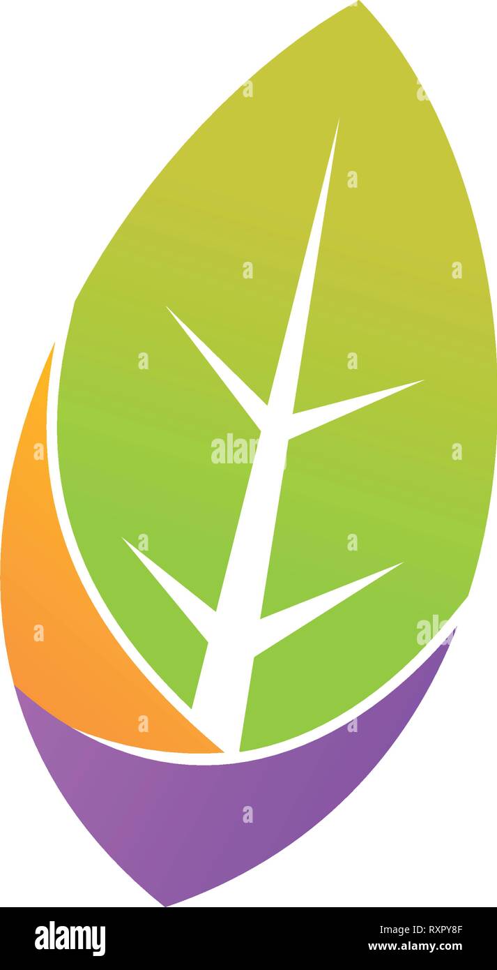 Leaf Logo Design Vector Template Set Stock Vector Image & Art - Alamy