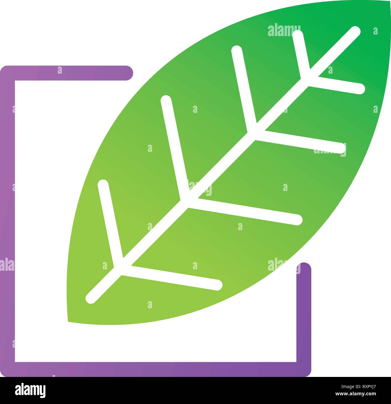 Leaf Logo Design Vector Template Set Stock Vector Image & Art - Alamy