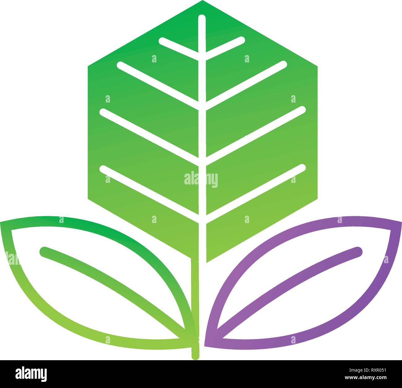 Leaf Logo Design Vector Template Set Stock Vector Image & Art - Alamy