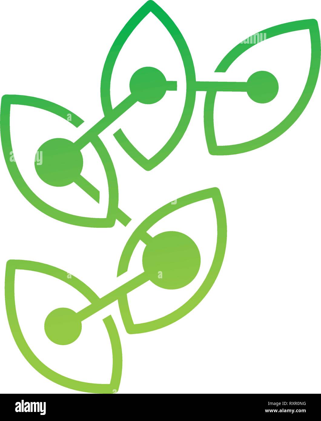 Leaf Logo Design Vector Template Set Stock Vector Image & Art - Alamy