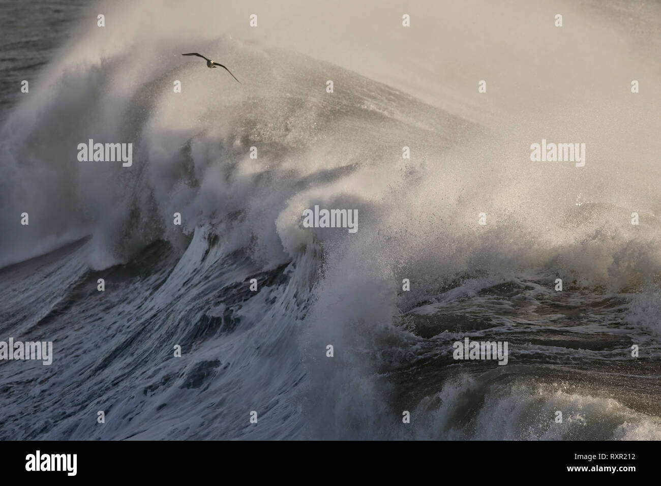 Giant sea wave shore hi-res stock photography and images - Alamy
