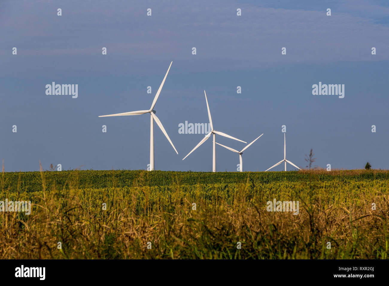 Windy in kansas hi-res stock photography and images - Alamy