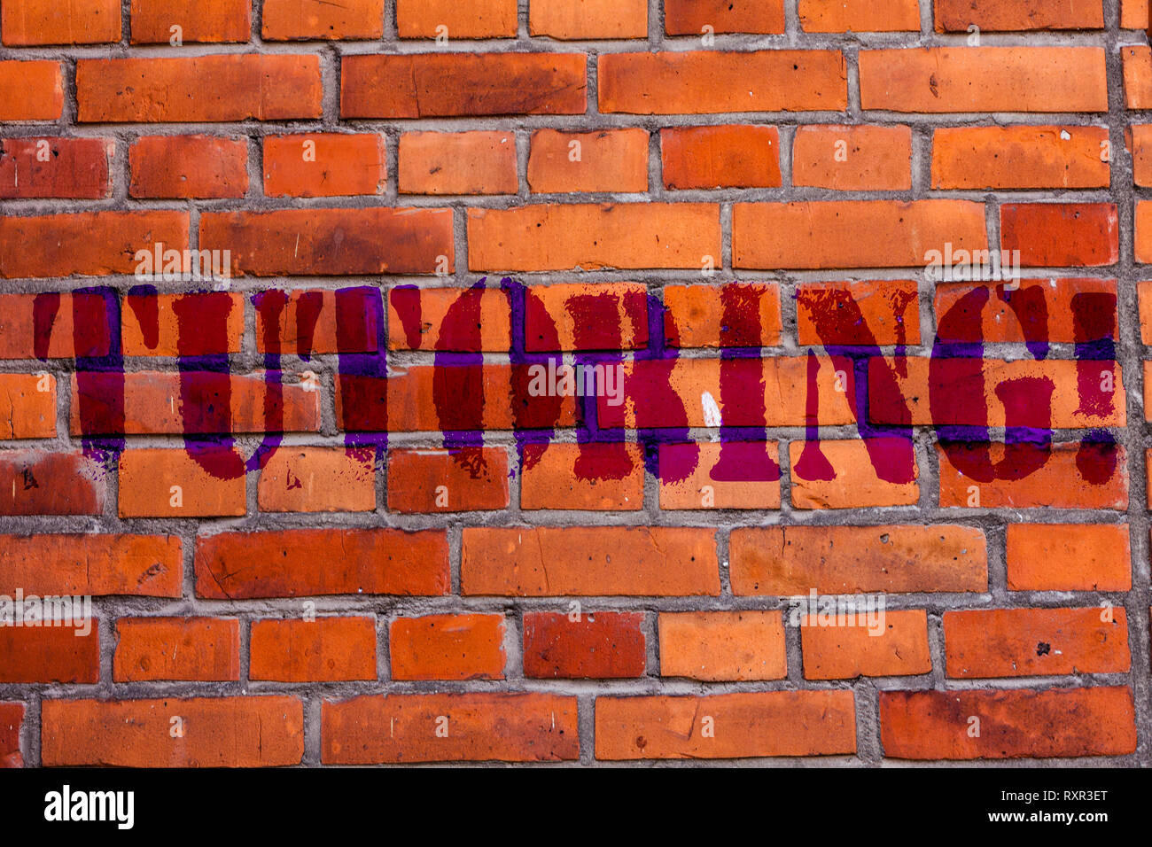 Instructing scholars hi-res stock photography and images - Alamy