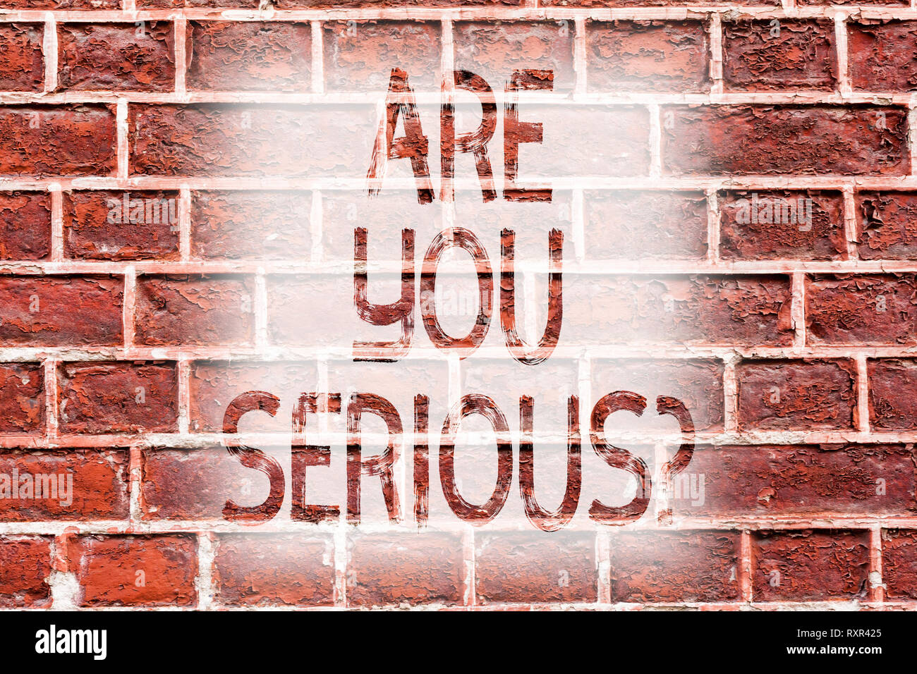 Handwriting text writing Are You Seriousquestion. Conceptual photo Have ... Handwriting text writing Are You Seriousquestion. Conceptual photo Have ...