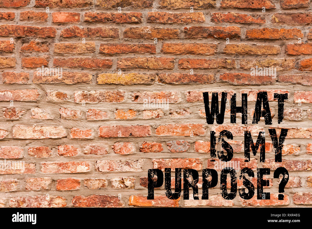Handwriting text writing What Is My Purposequestion. Conceptual photo ...