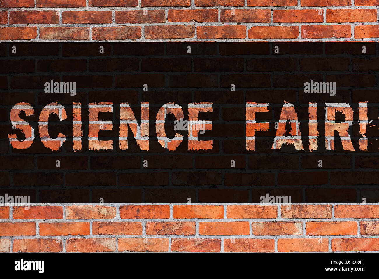Science fair contestants hi-res stock photography and images - Alamy