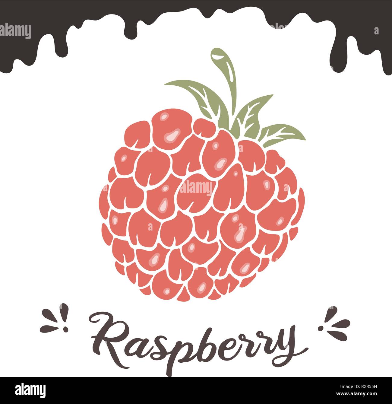 Raspberry vector illustration, berry clipart. Raspberry vintage vector ...