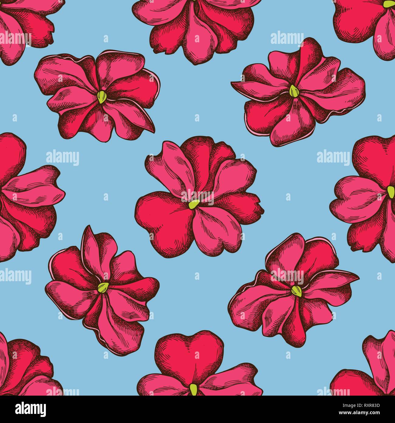 Botany jewelweed impatiens Stock Vector Images - Alamy