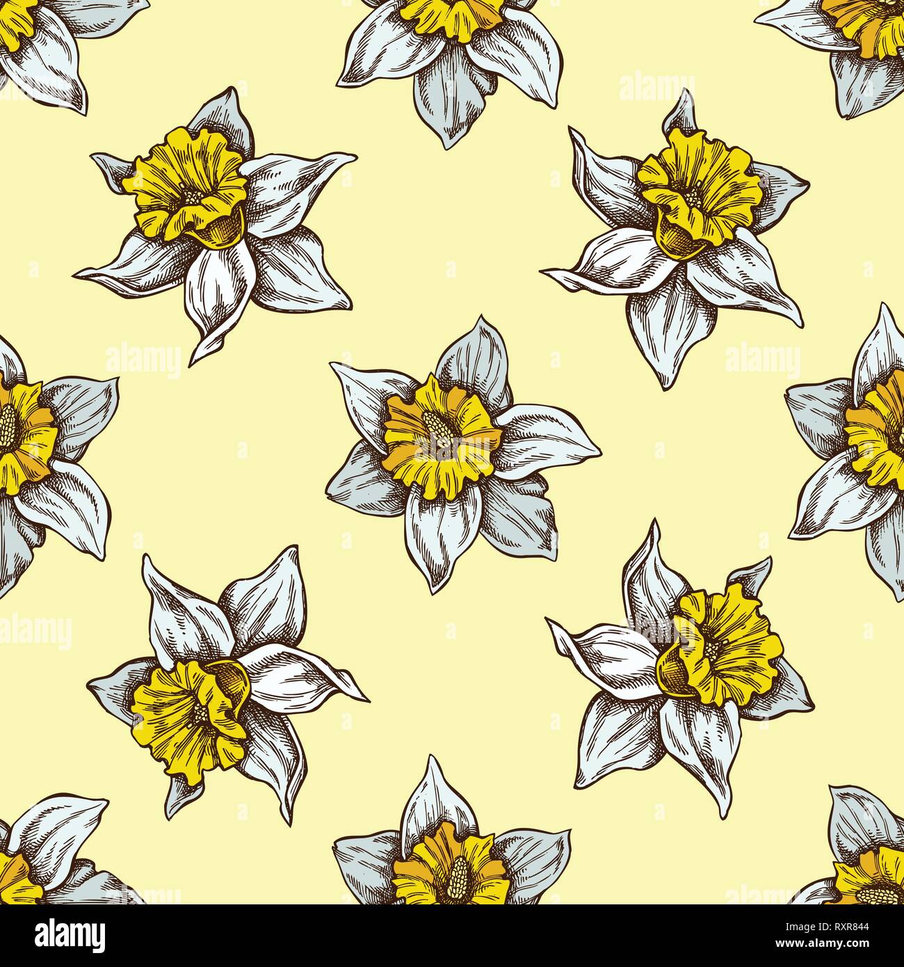 Daffodil pattern Stock Vector Images - Alamy