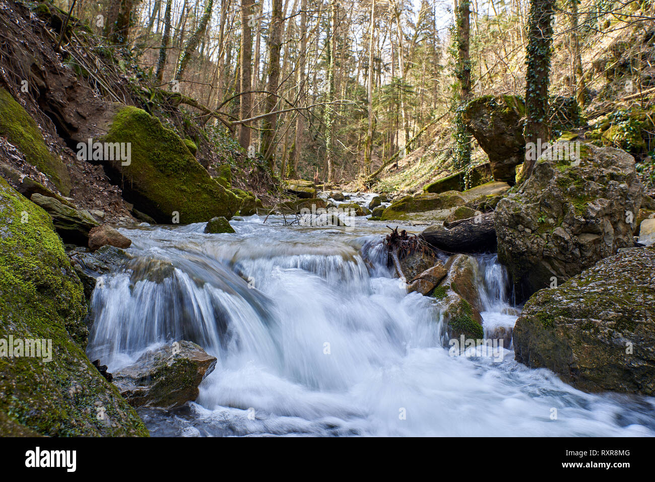Rifts on a mountain river flowing through the forest and boulders ...