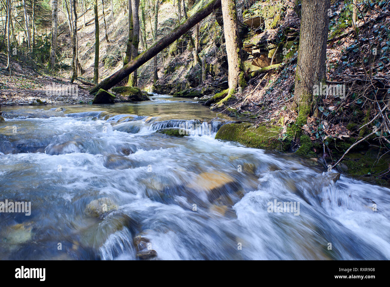 Rifts on a mountain river flowing through the forest and boulders ...
