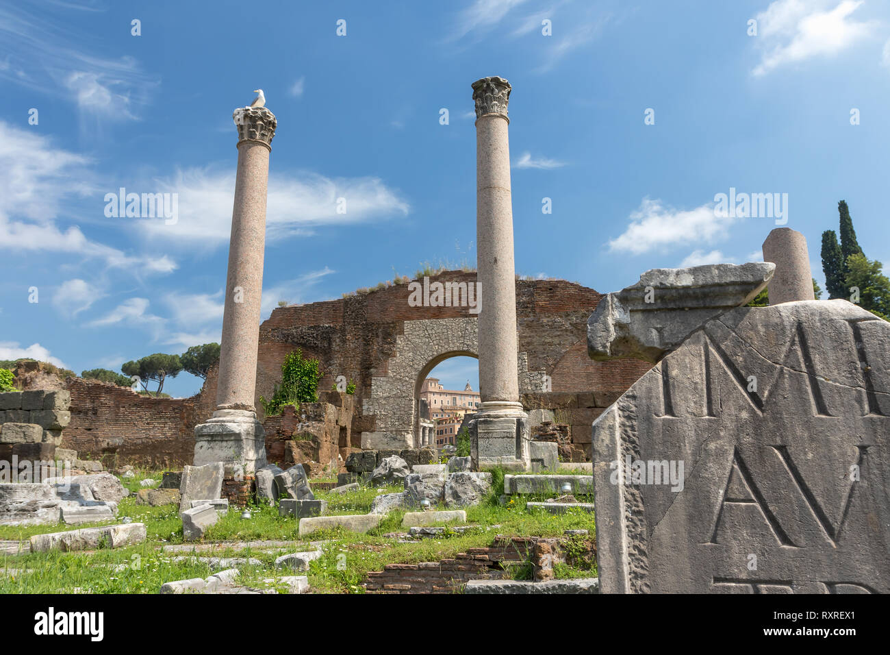 Ruins of ancient Basilica Emilia in Forum Romanum. Rome. Italy. Blue ...