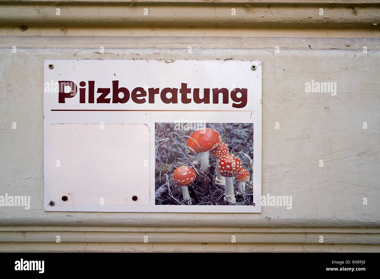 Sign with the inscription "Mushroom advice Stock Photo - Alamy