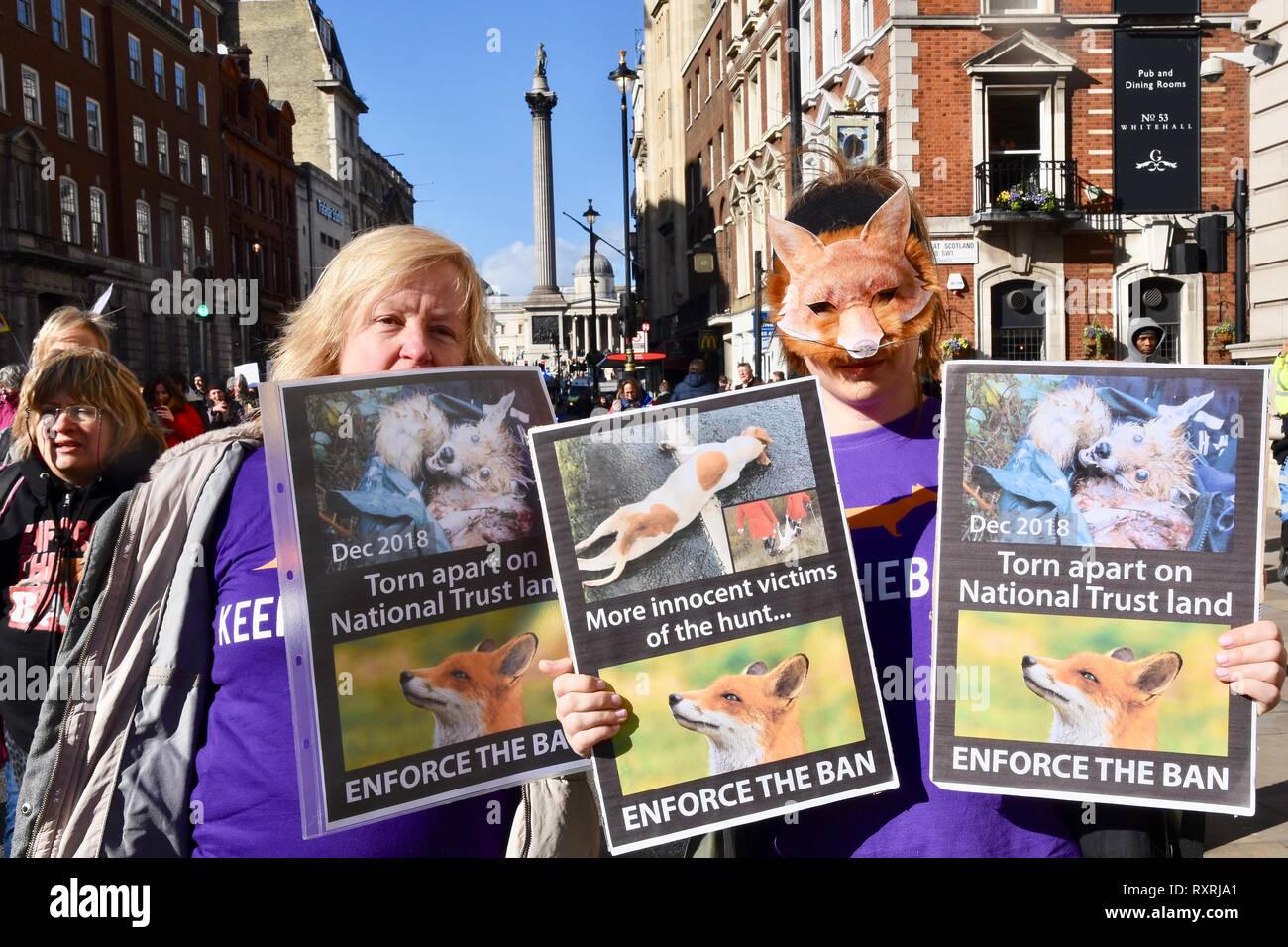 Anti fox hunting hi-res stock photography and images - Alamy