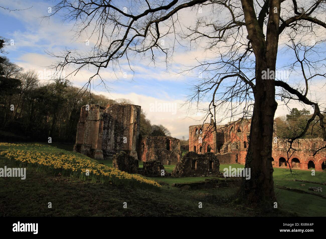 Furness abbey, cumbria hi-res stock photography and images - Alamy
