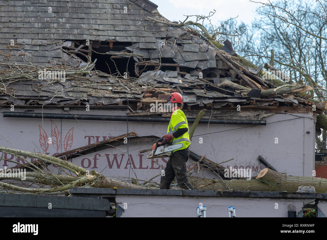 Marlow, United Kingdom. 10 March 2019. A tree has fallen during high ...
