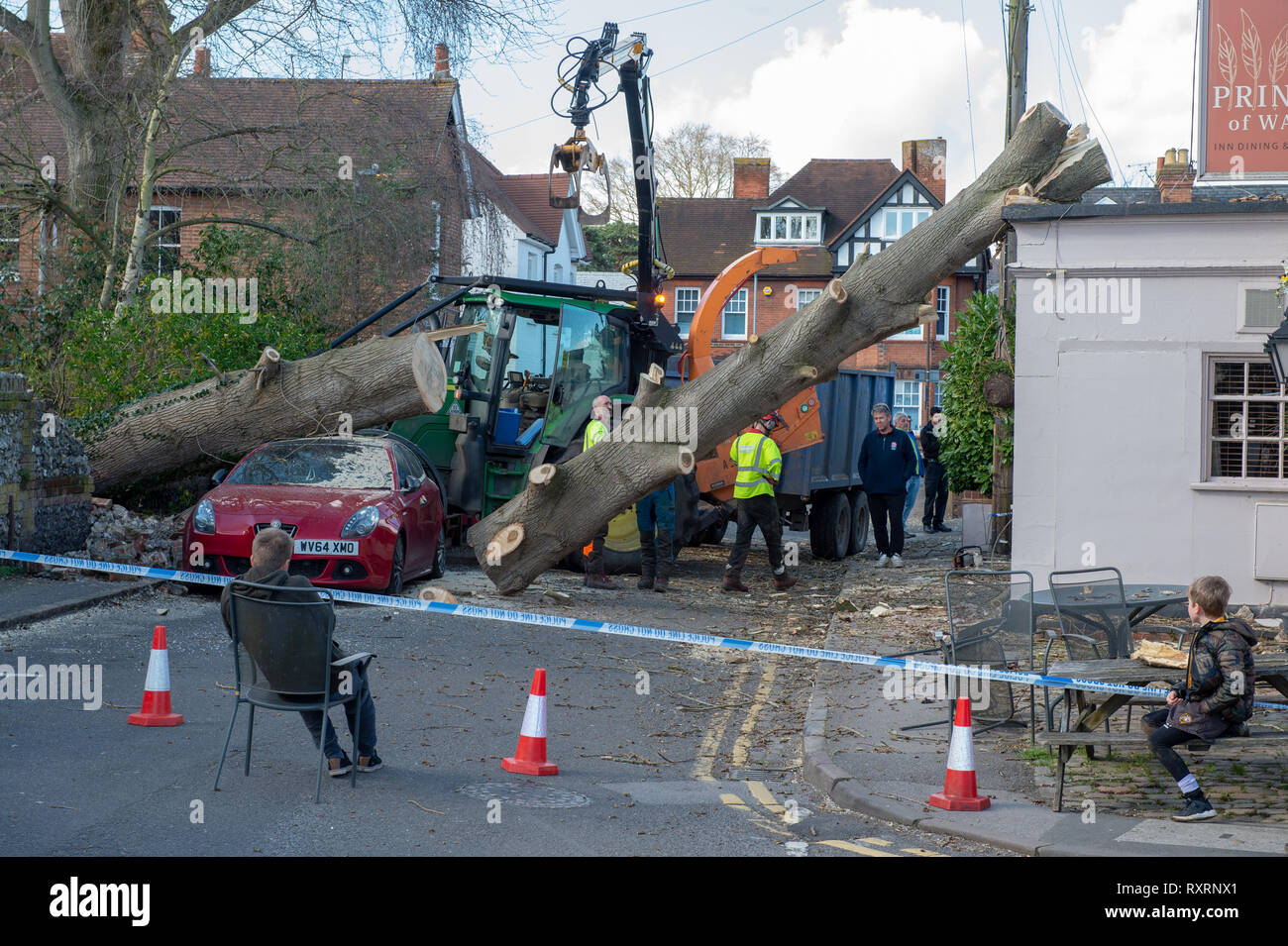 Marlow, United Kingdom. 10 March 2019. A tree has fallen during high ...