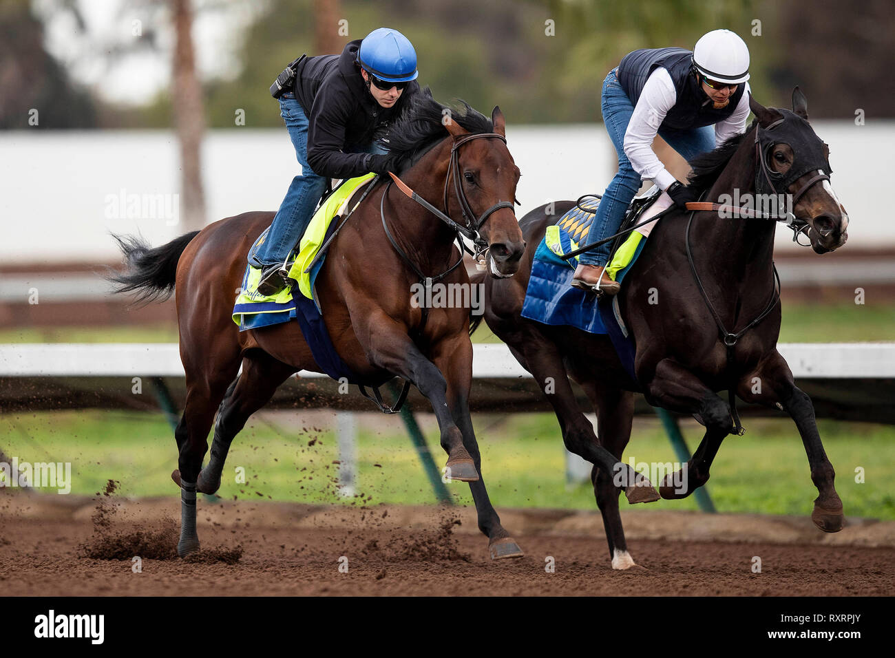 Dr dorr hi-res stock photography and images - Alamy