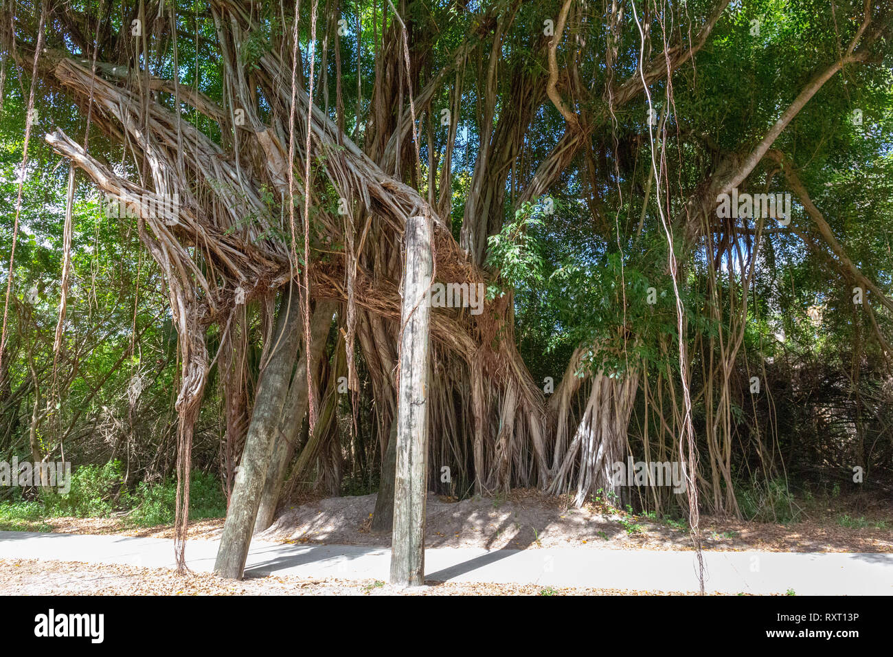 SE Bridge Road, Hobe Sound Beach Park Stock Photo - Alamy