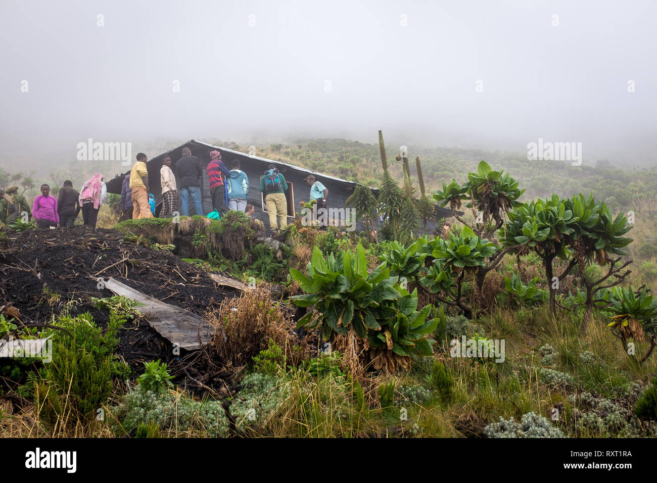 A hikers hut on Mount Nyiragongo volcano in the Democratic republic of ...