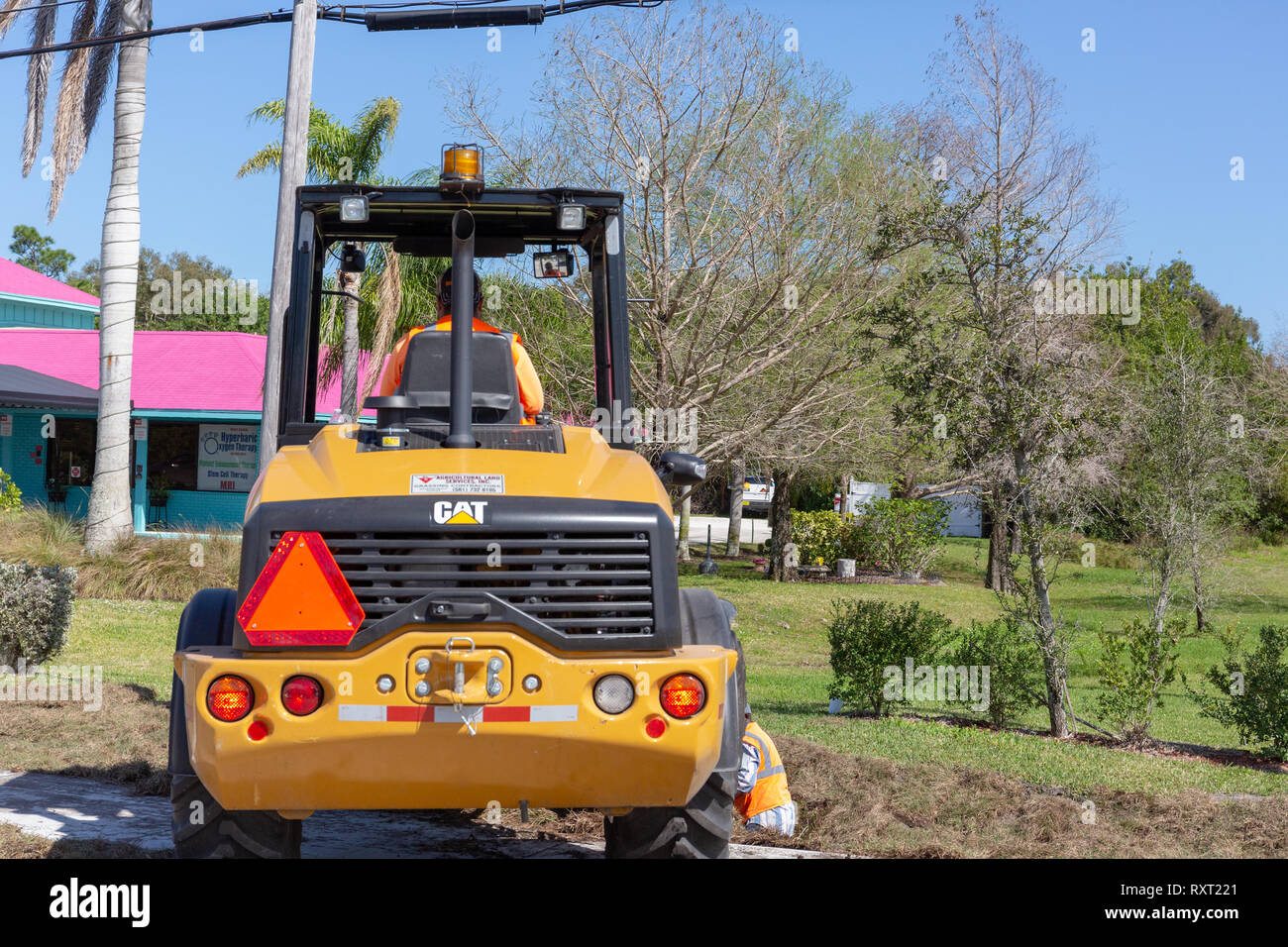 Cat construction vehicle Stock Photo - Alamy