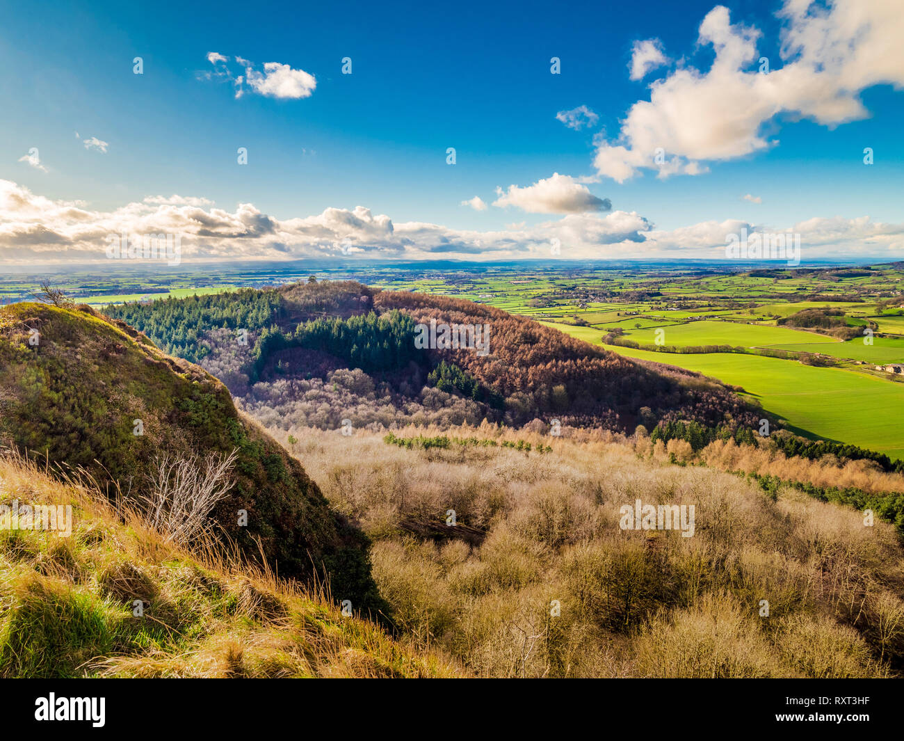Shrubs top view hi-res stock photography and images - Alamy