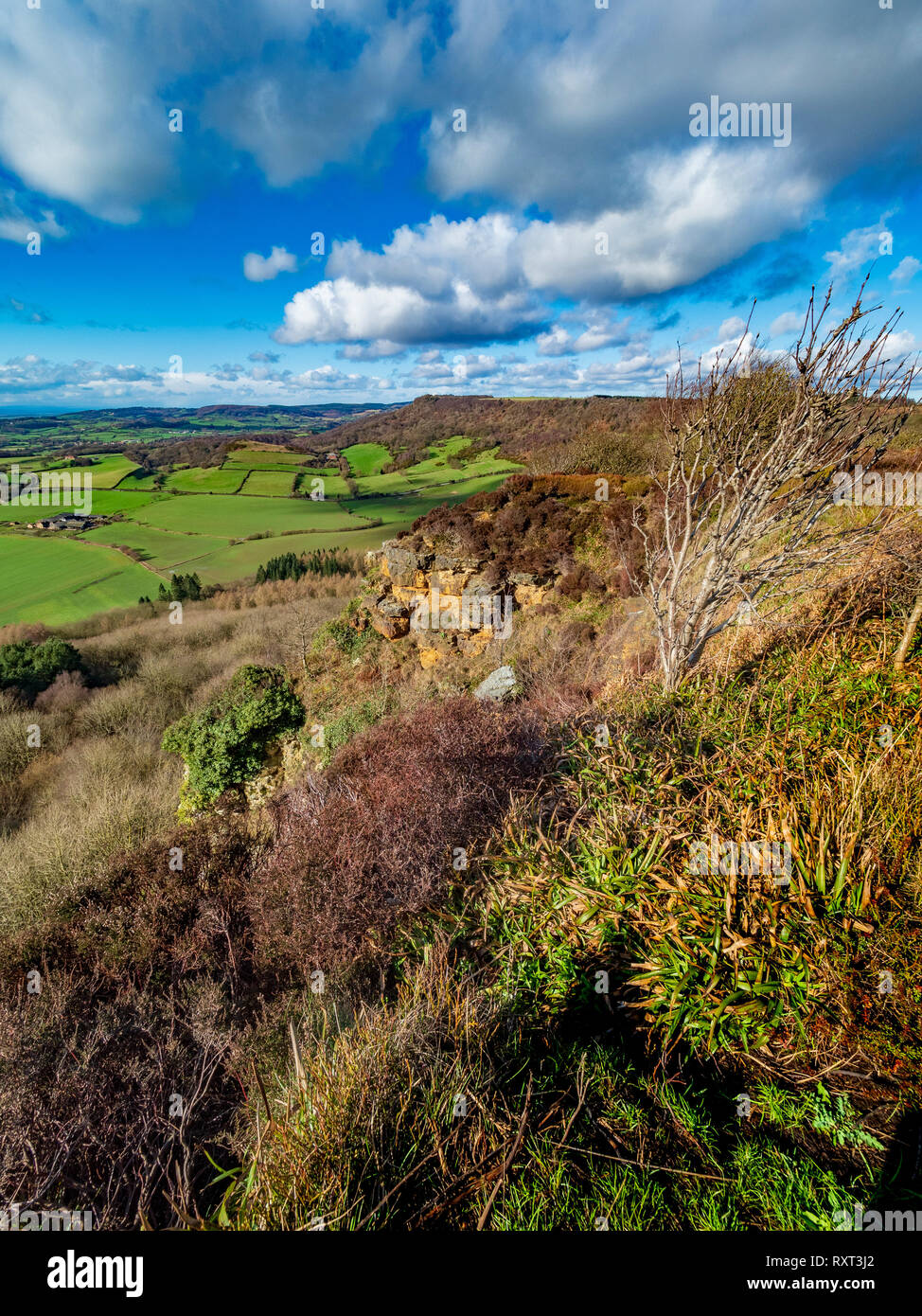 Hambleton Hills High Resolution Stock Photography and Images - Alamy