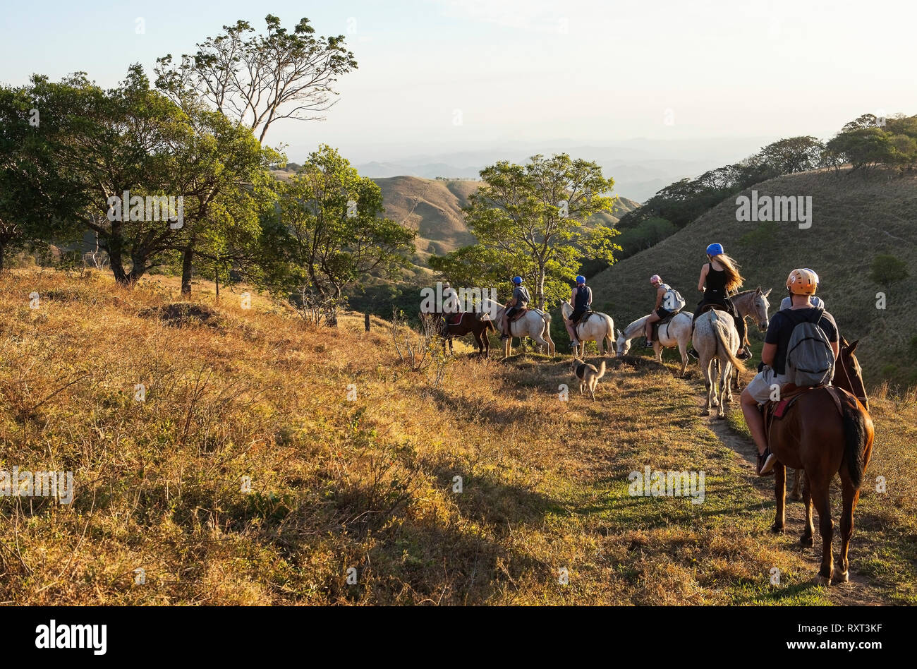 Alto Cebadilla,Monteverde/Costa Rica-January 24 2019: Horseback Riding ...