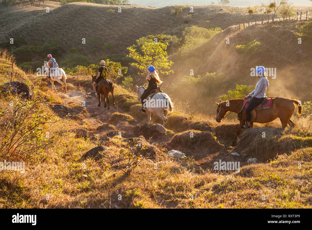 Alto Cebadilla,Monteverde/Costa Rica-January 24 2019: Horseback Riding ...
